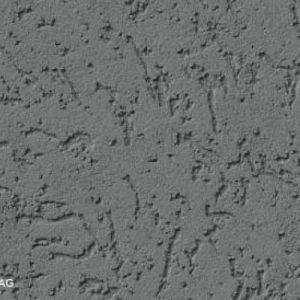 Innenputz | F&D Konzeptbau - Putz - Stuck und Fassade